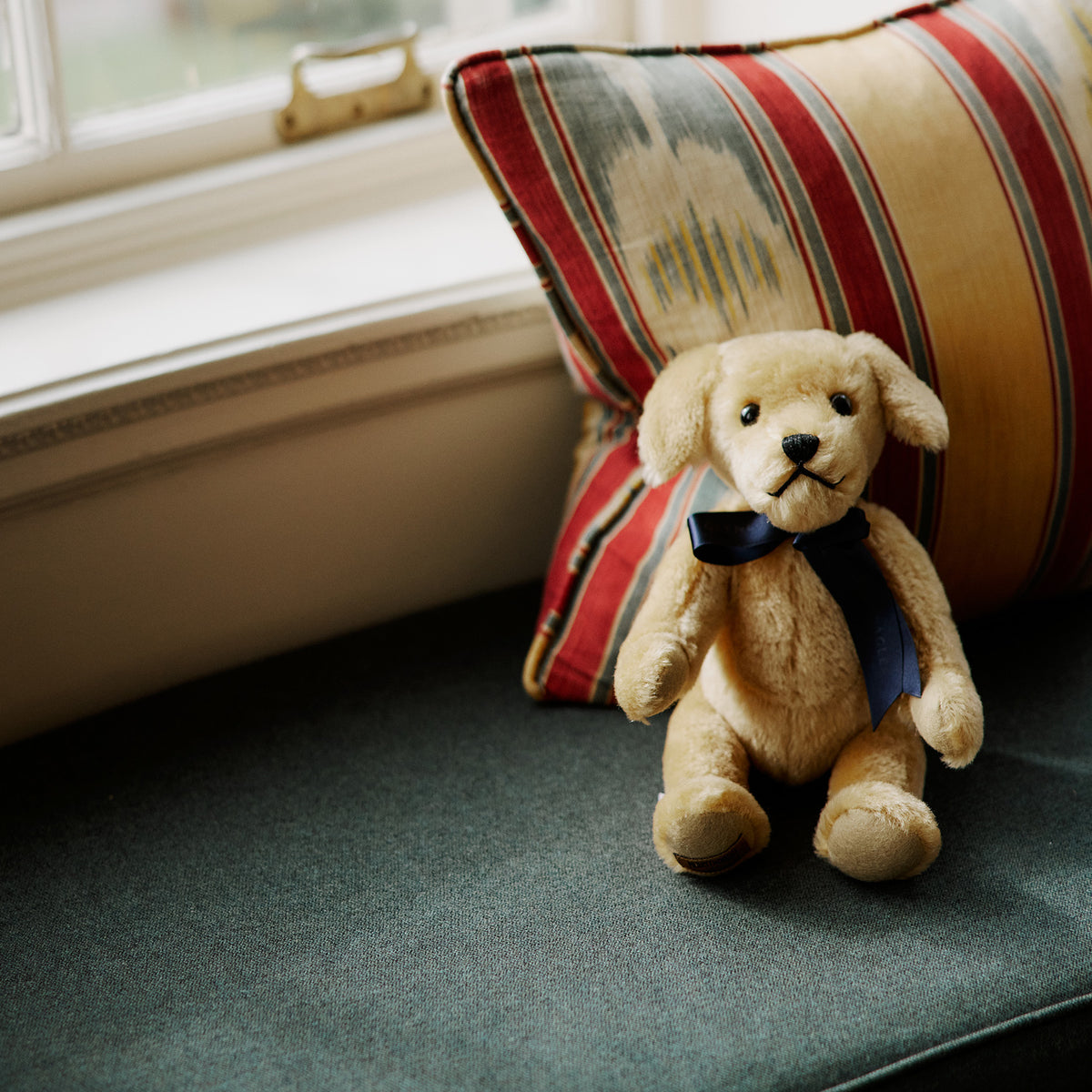 Henry Dog – Gleneagles